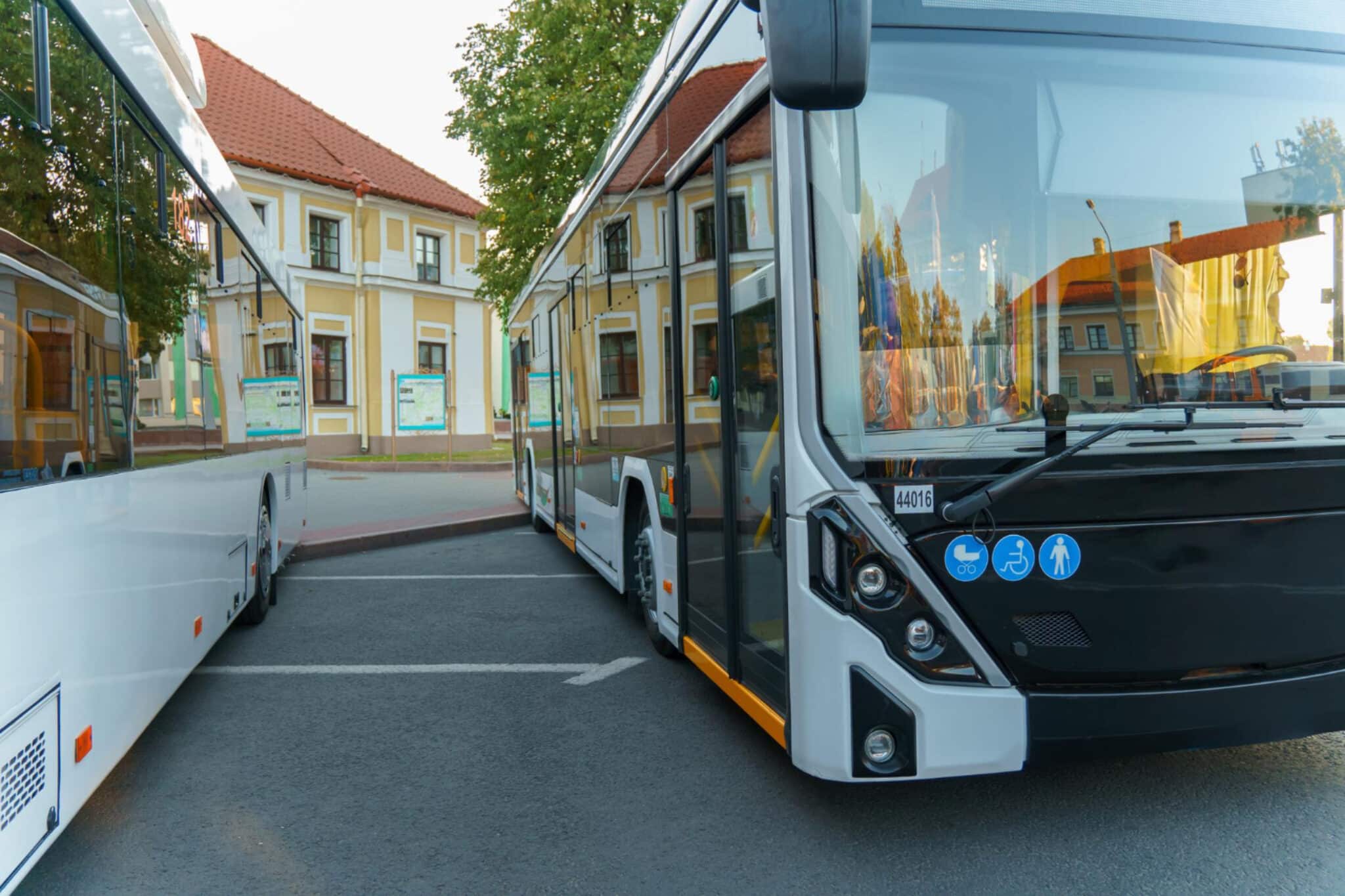 Public Transport Madeira: Explore Madeira Island By Bus